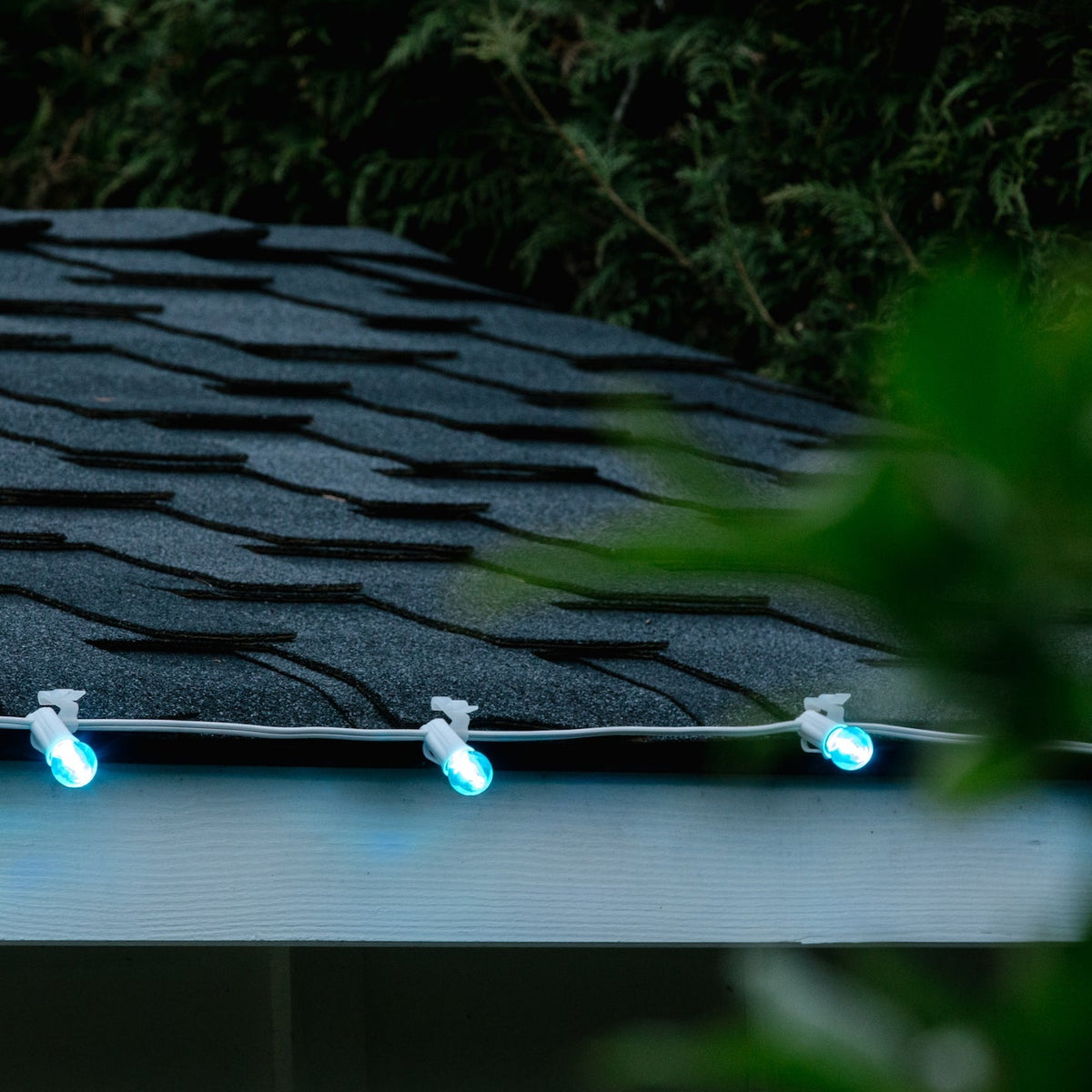 The Importance of UV Stabilizers in Your LED Lights – Big Star Lights