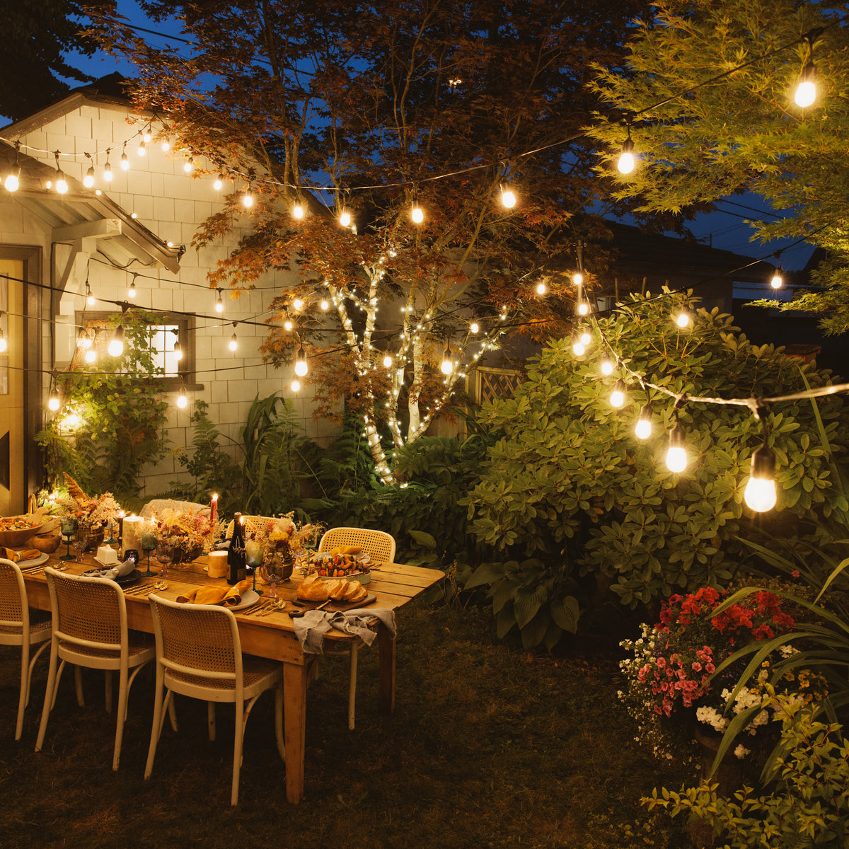 Summer Lighting Collection | What You Need for Summer Lights – Big Star ...