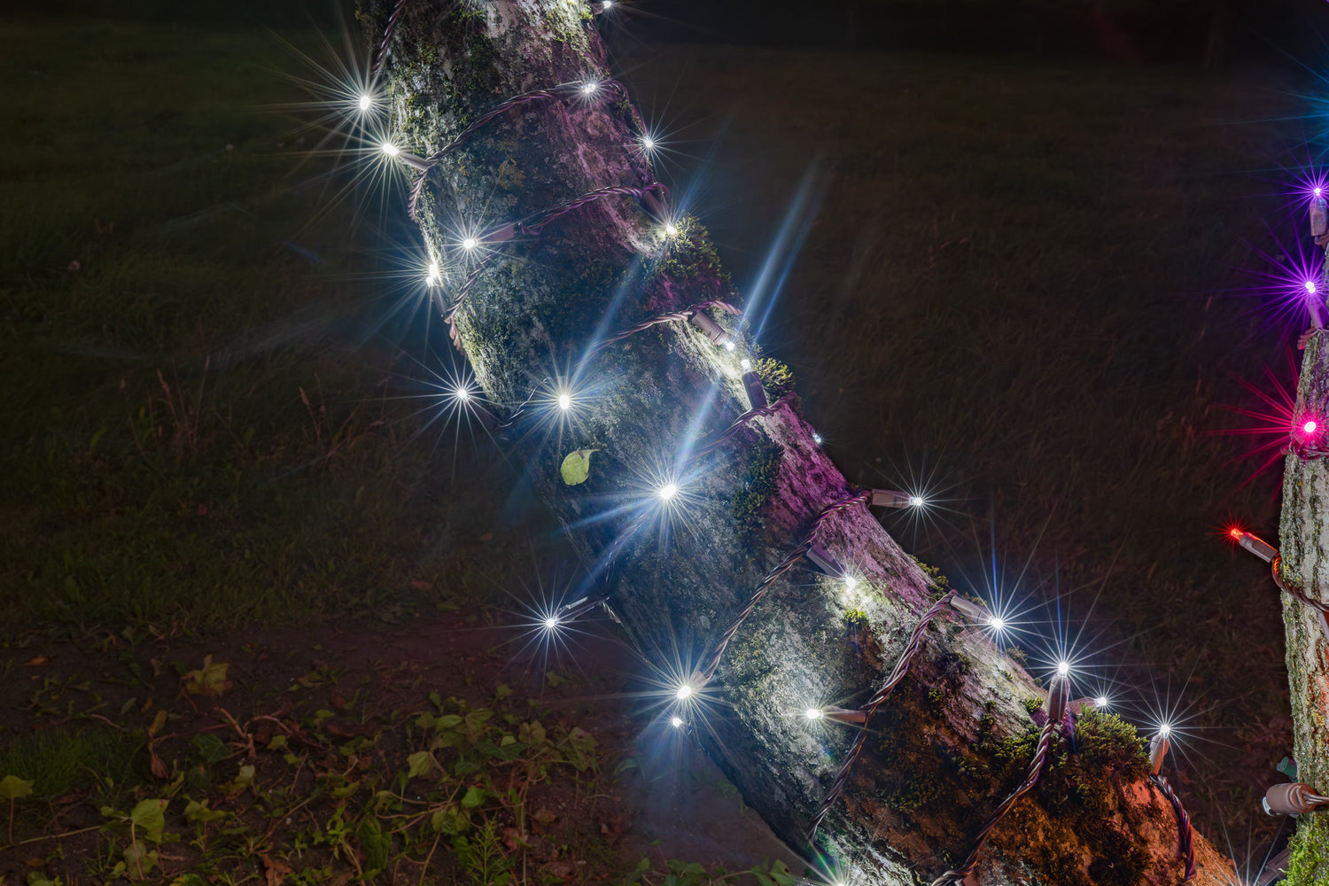 5MM Mini Lights | Mini LED String Lights – Big Star Lights