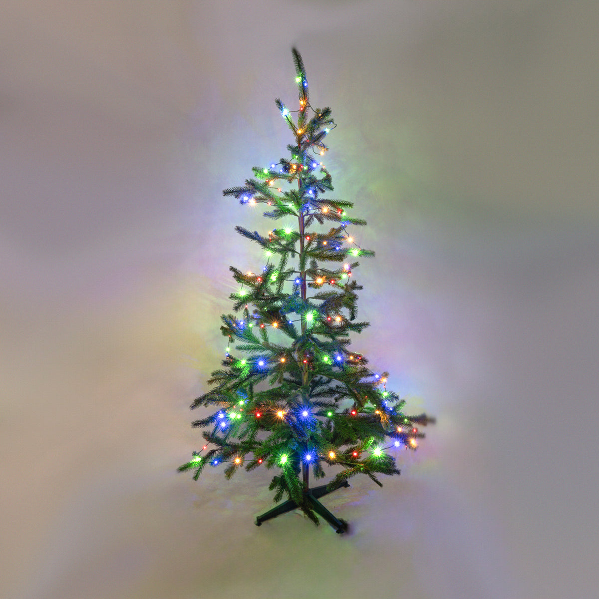 LED Micro lights | Commercial Grade Lights – Big Star Lights