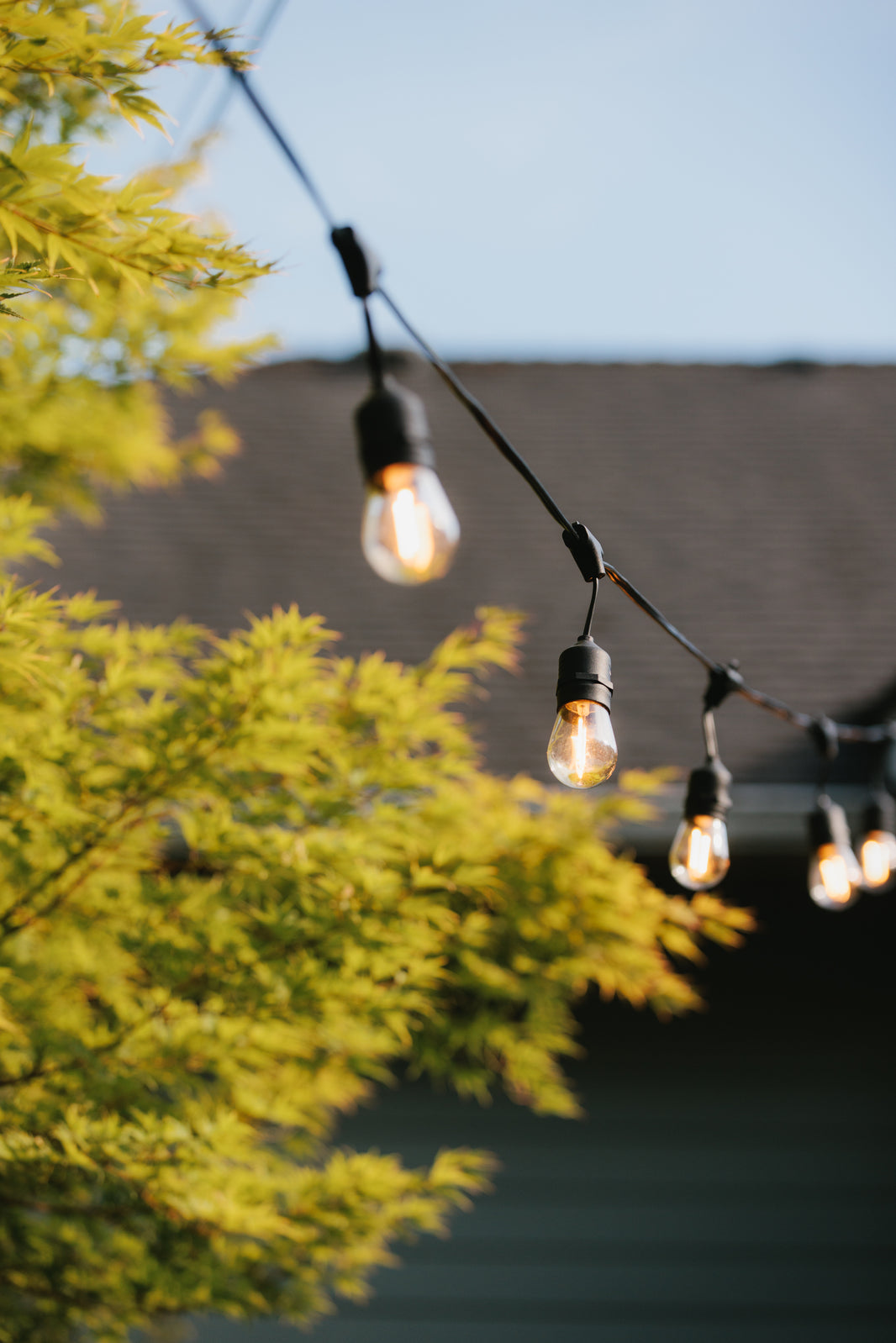 Summer Lighting Collection | What You Need for Summer Lights – Big Star ...